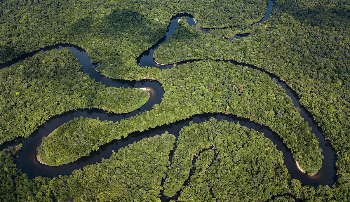 Gaia Impact Fund continues to offset its carbon footprint - Gaia Impact ...